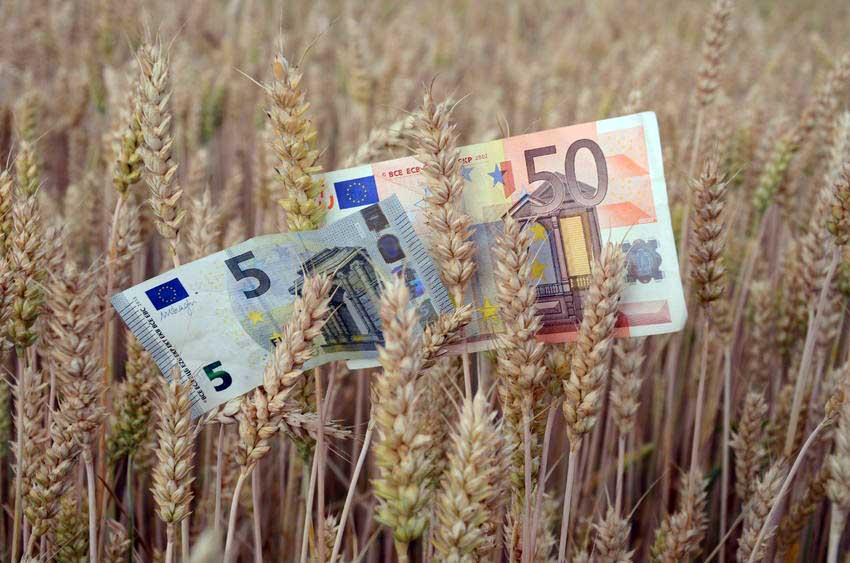 Che ne sai tu del prezzo del grano - Informazione senza filtro